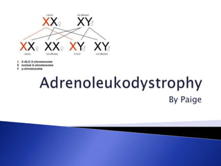 Adrenoleukodystrophy | PPTX