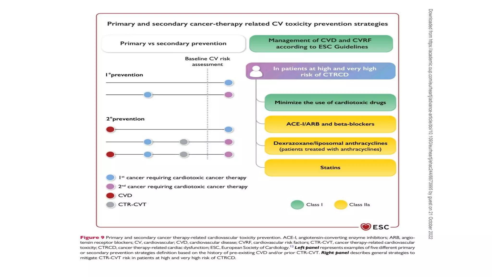 ADRIAMYCIN INDUCED CARDIOTOXICITY.pptx | Heart and Cardiovascular ...
