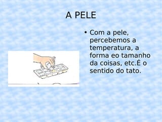 OS SENTIDOS | ODP