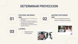 Lectura de rx torax en una radiografia normal | PDF
