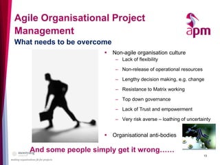 Adrian Pyne - Agile project management and the challenges of assurance ...