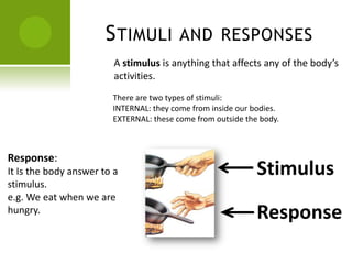 sensitivity and coordination | PPTX