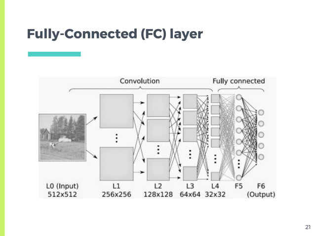 Skin Lesion Detection From Dermoscopic Images Using Convolutional