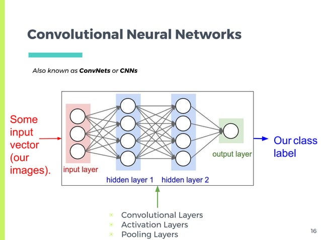 Skin Lesion Detection from Dermoscopic Images using Convolutional ...