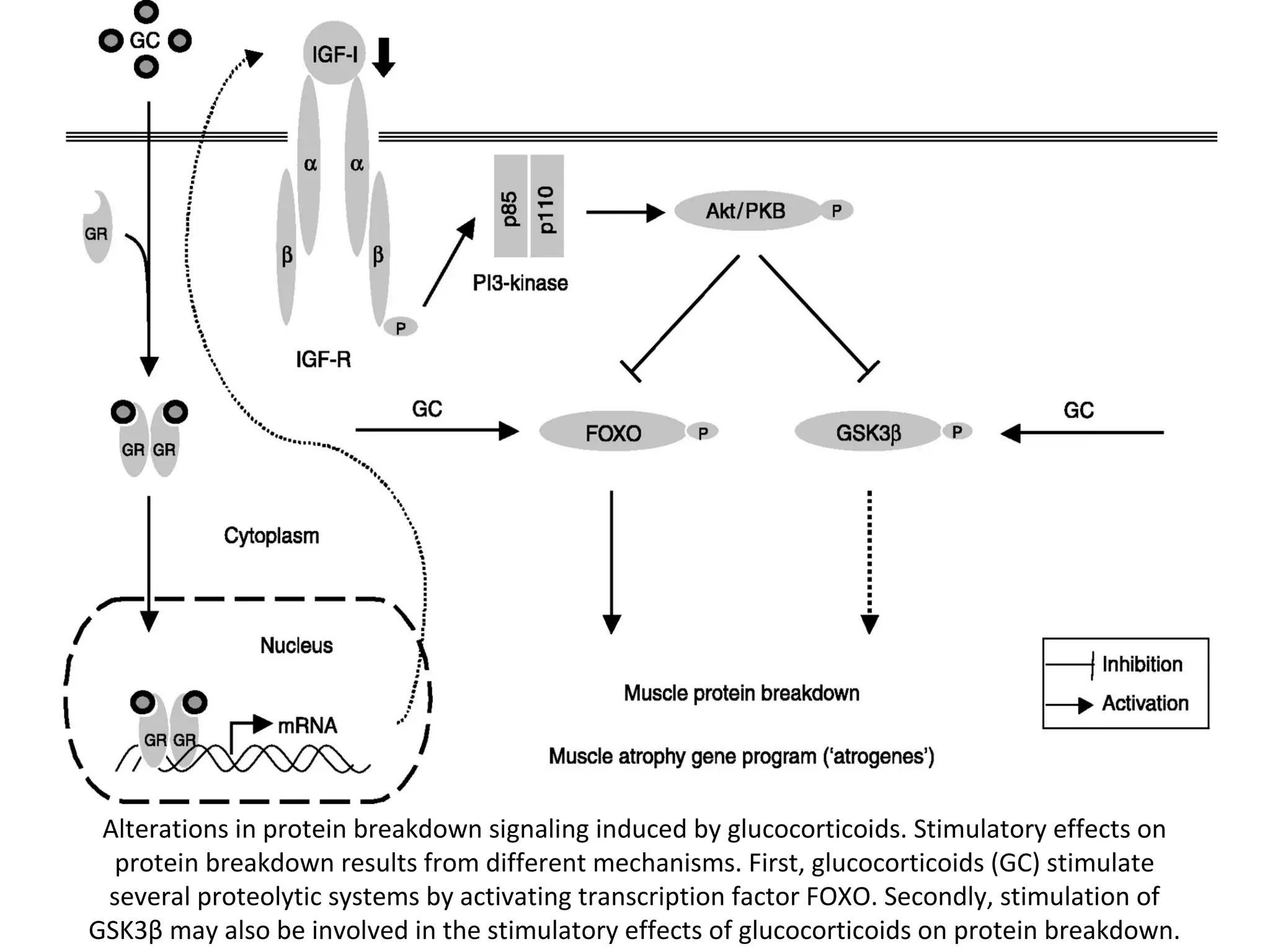 PREVENTION & MANAGEMENT OF SIDE EFFECTS OF SYSTEMIC STEROIDS | PPT