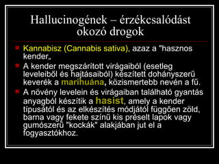 A drogok és hatásaik | PPT