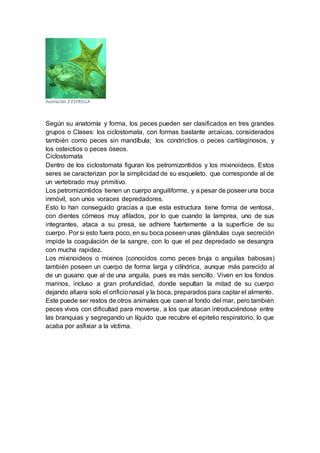 Adry c | DOCX