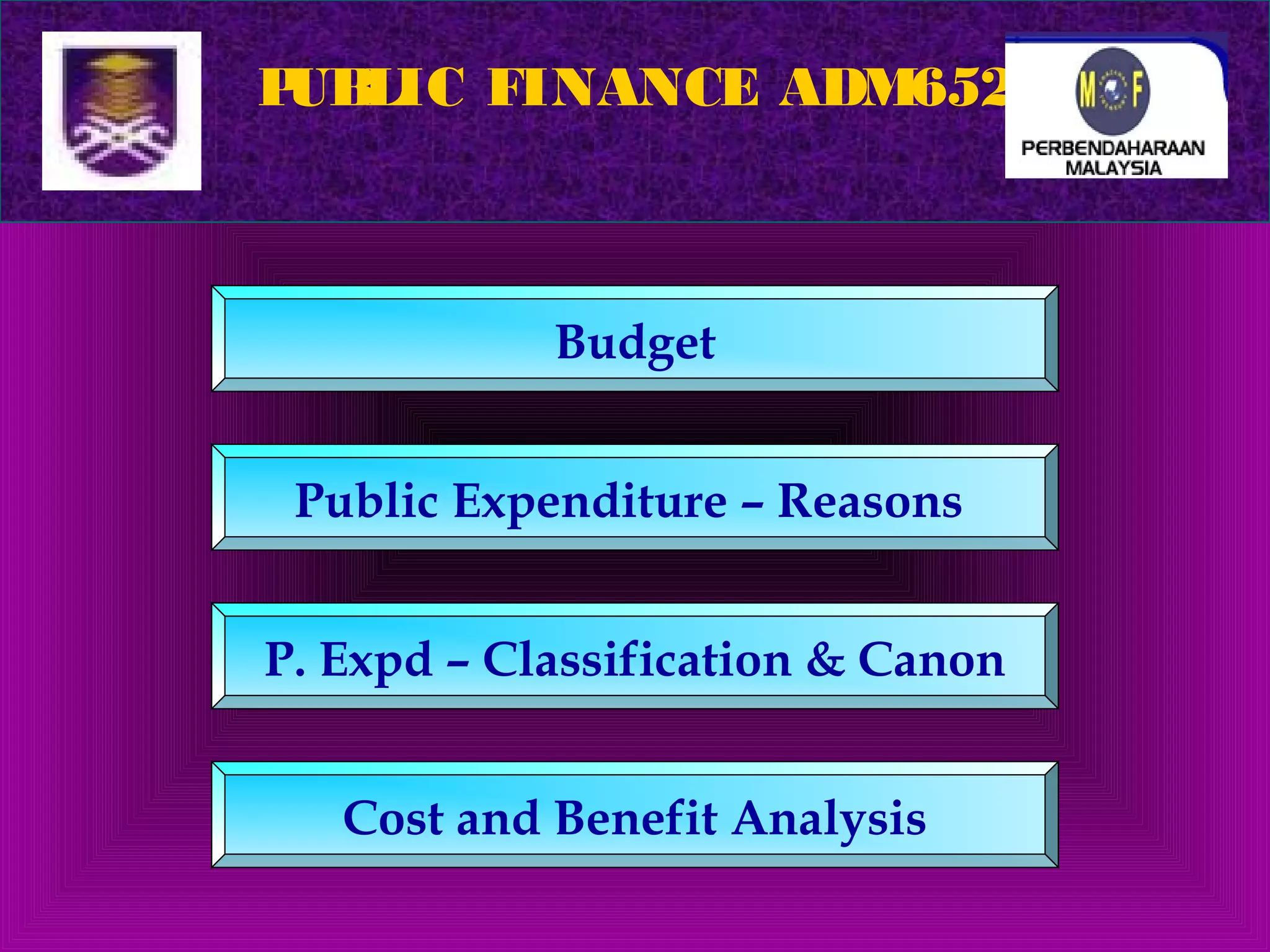 public expenditure | PPT