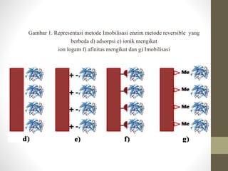 Adsorpsi metal-binding | PPT | Free Download