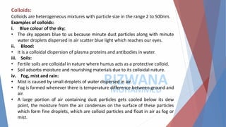 3rd Lecture on Adsorption and Colloids | Chemistry Part II | 11th Std | PDF