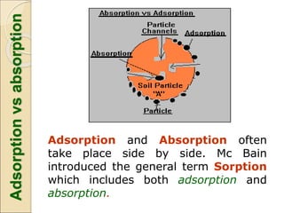 Physical Chemistry-Adsorption and Isotherm.pptx