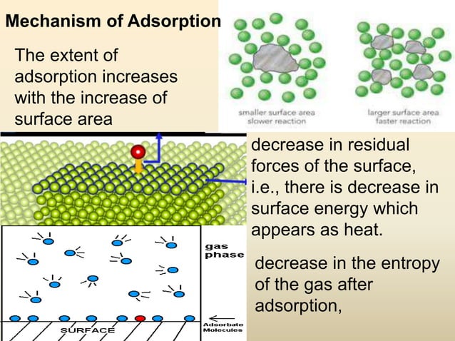 Basics of adsorption | PPT | Chemistry | Science