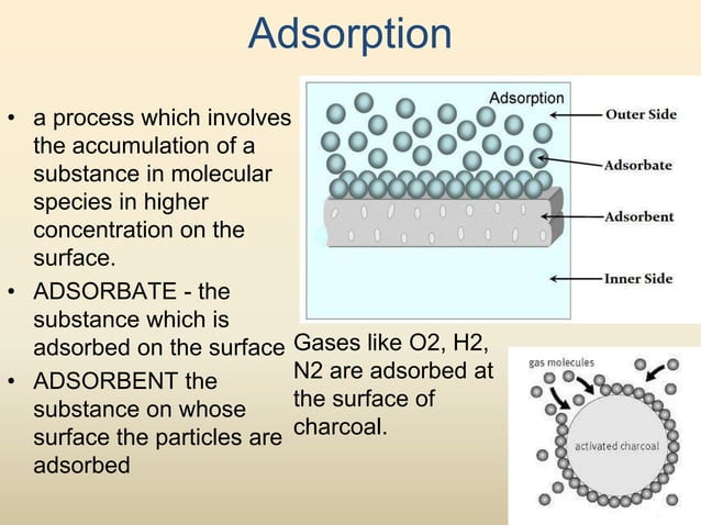 Basics of adsorption | PPT | Chemistry | Science