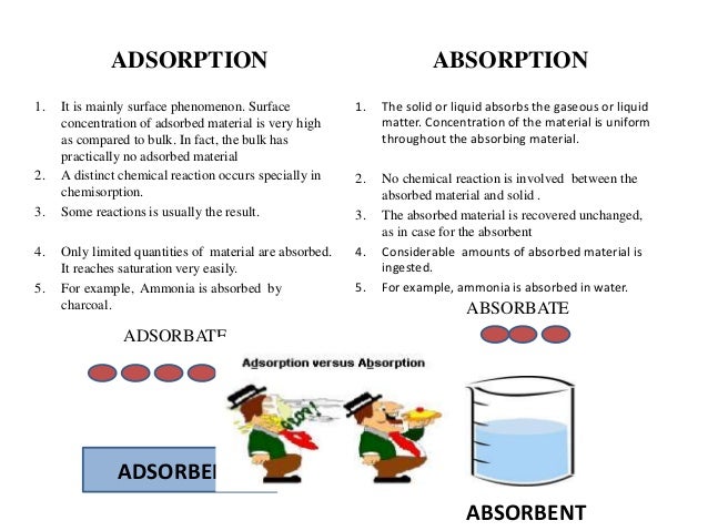 Adsorption And Absorption Adsorbtion Definition Examples