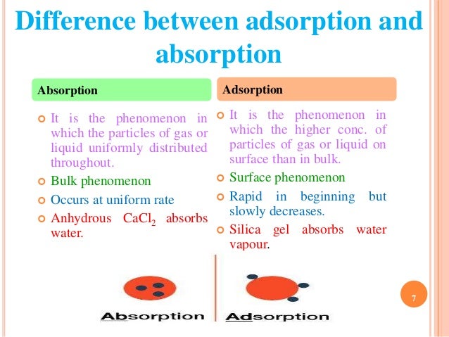 Adsorption And Absorption Adsorbtion Definition Examples