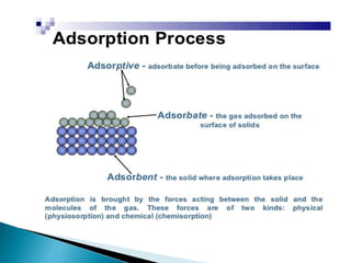 Adsorption | PPT