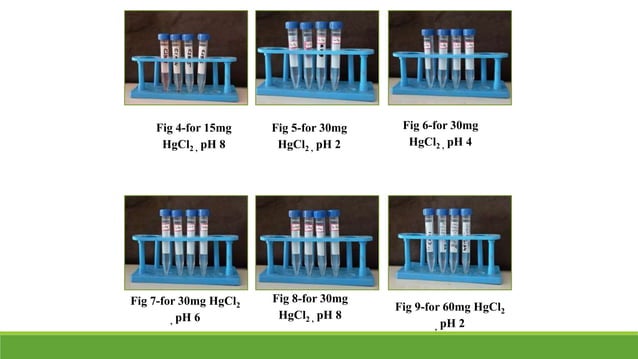 Adsorption Of Mercury Metal Using Modified Vermicompost Biochar Ppt