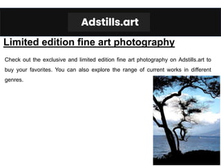 Limited edition fine art photography | PPT | Photography | Arts and Crafts