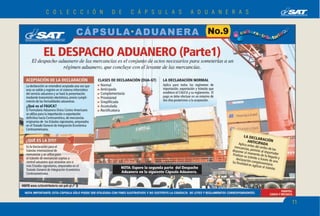 SAT - Aduana | PDF