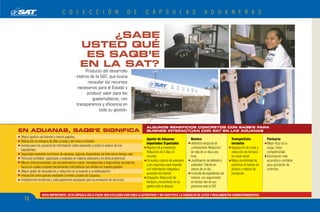 SAT - Aduana | PDF