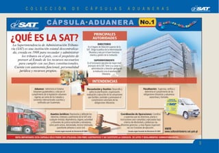 SAT - Aduana | PDF