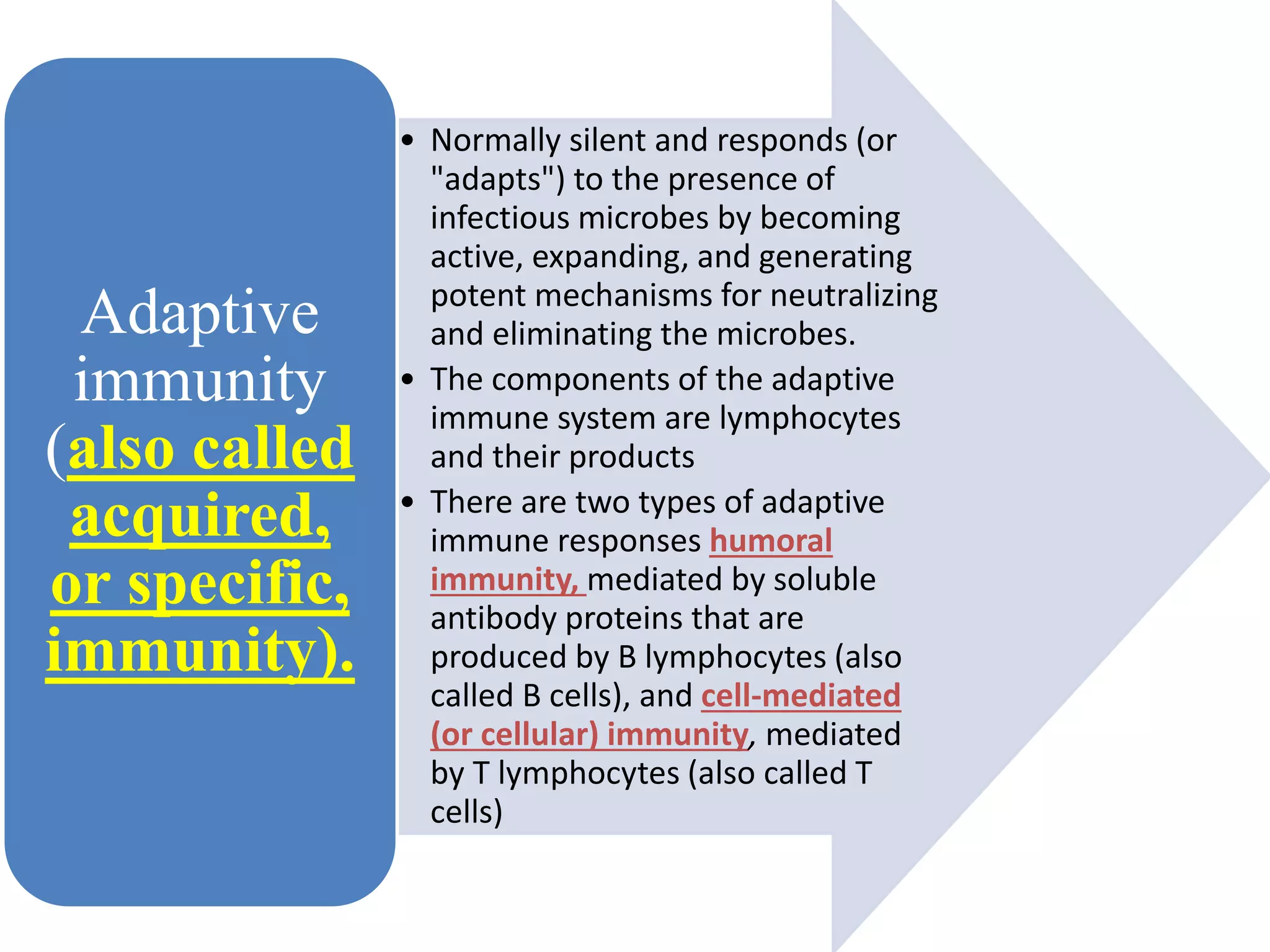 ADULT-IMMUNIZATION-PPT-converted.pdf