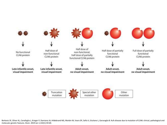 Adult-Onset Neuronal ceroid-lipofuscinosis.pptx