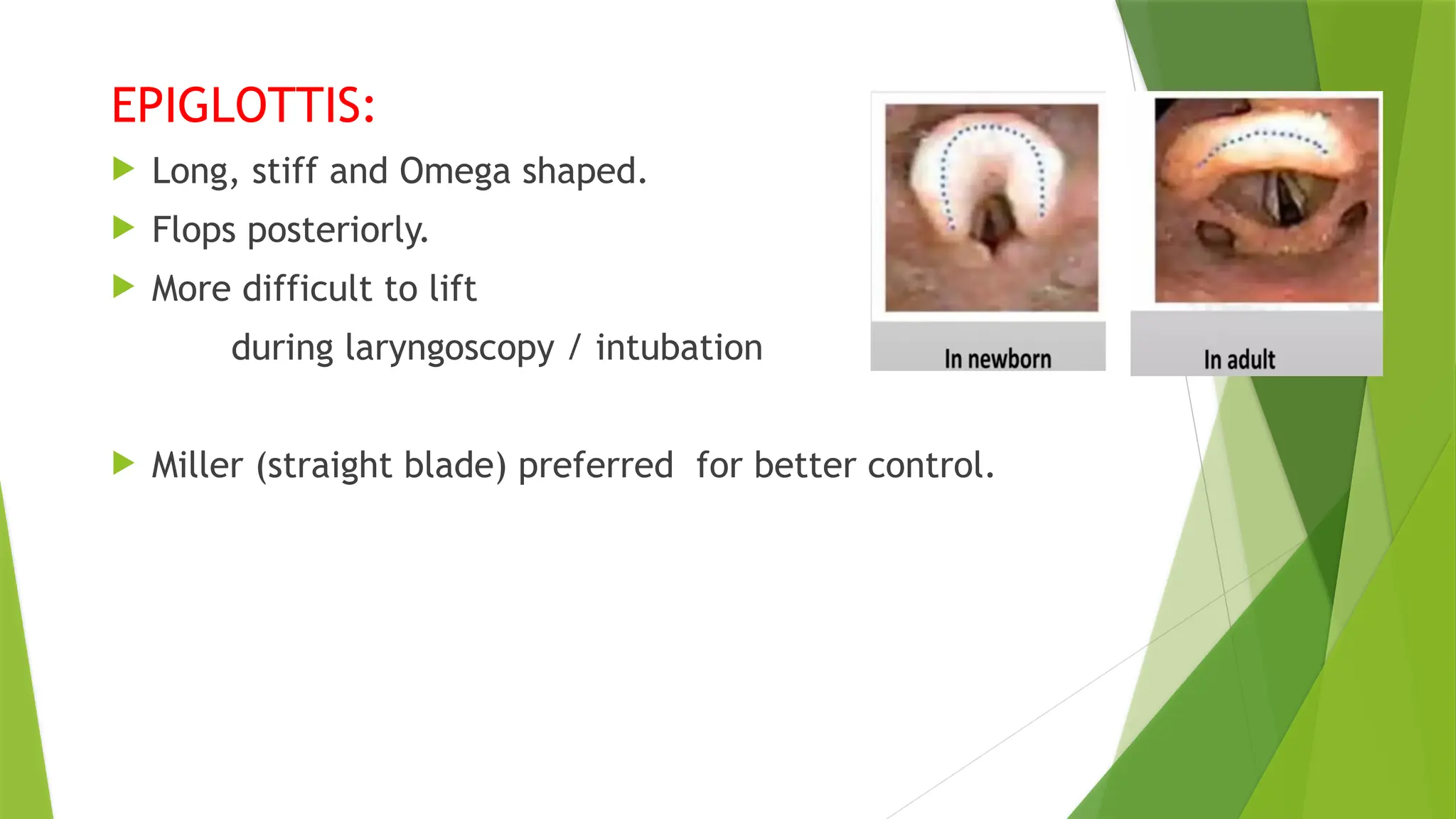 ADULT AND PAEDIATRICcccc AIRWAY FINAL.pptx