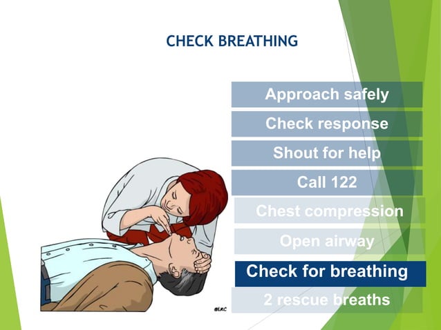 BASIC LIFE SUPPORT (ADULT) BLS | PPT