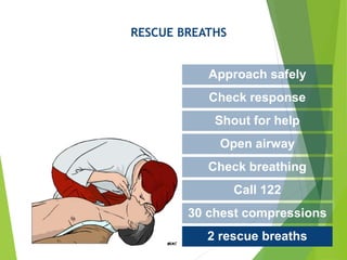 BASIC LIFE SUPPORT (ADULT) BLS | PPT