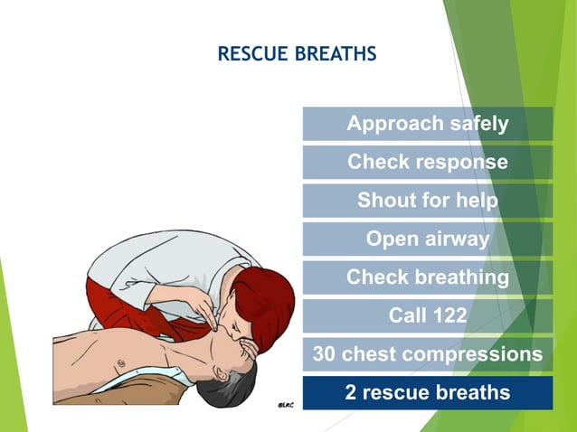 BASIC LIFE SUPPORT (ADULT) BLS | PPT