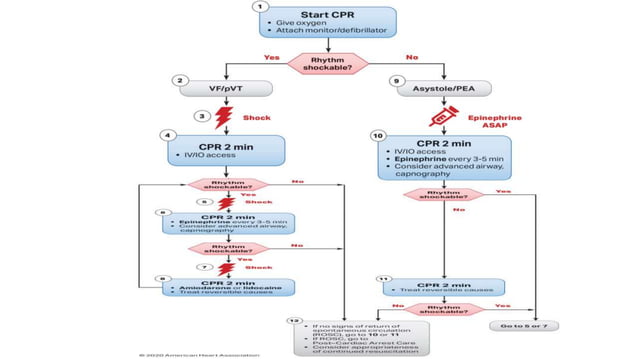 ADULT BLS AND ACLS.pptx | First Aid | Injuries