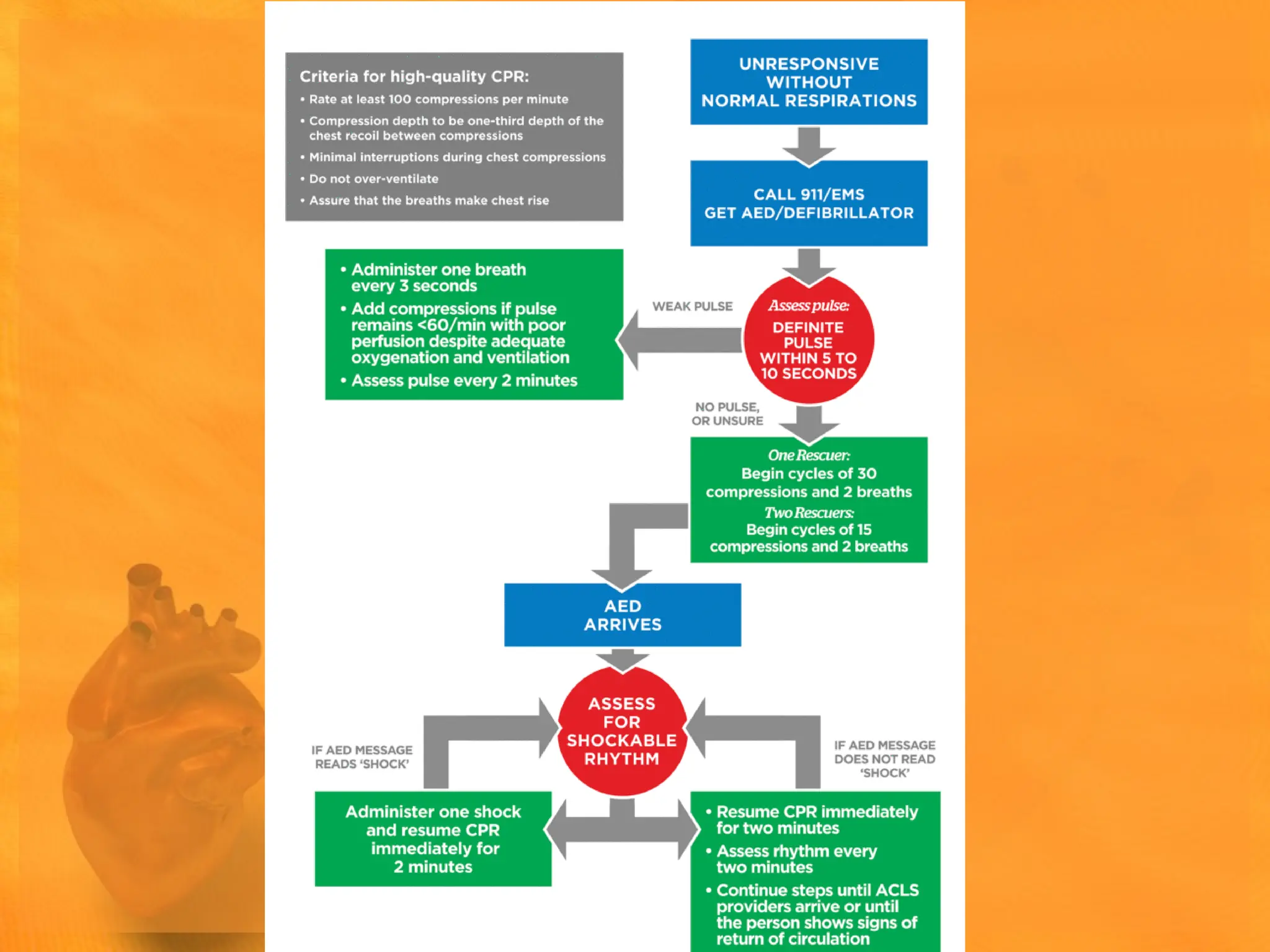 ADULT Cardio pulmonary resuscitation.pptx
