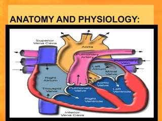ADULT Cardio pulmonary resuscitation.pptx