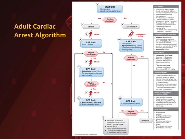 Adult Cardio Pulmonary Resuscitation (CPR) 2020 (BLS-ACLS-Post CPR ...