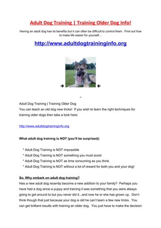 Adult dog training | DOC