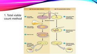 Adulteration and Deterioration- Durgashree Diwakar | PPTX