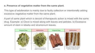Adulteration of Crude Drugs.pdf