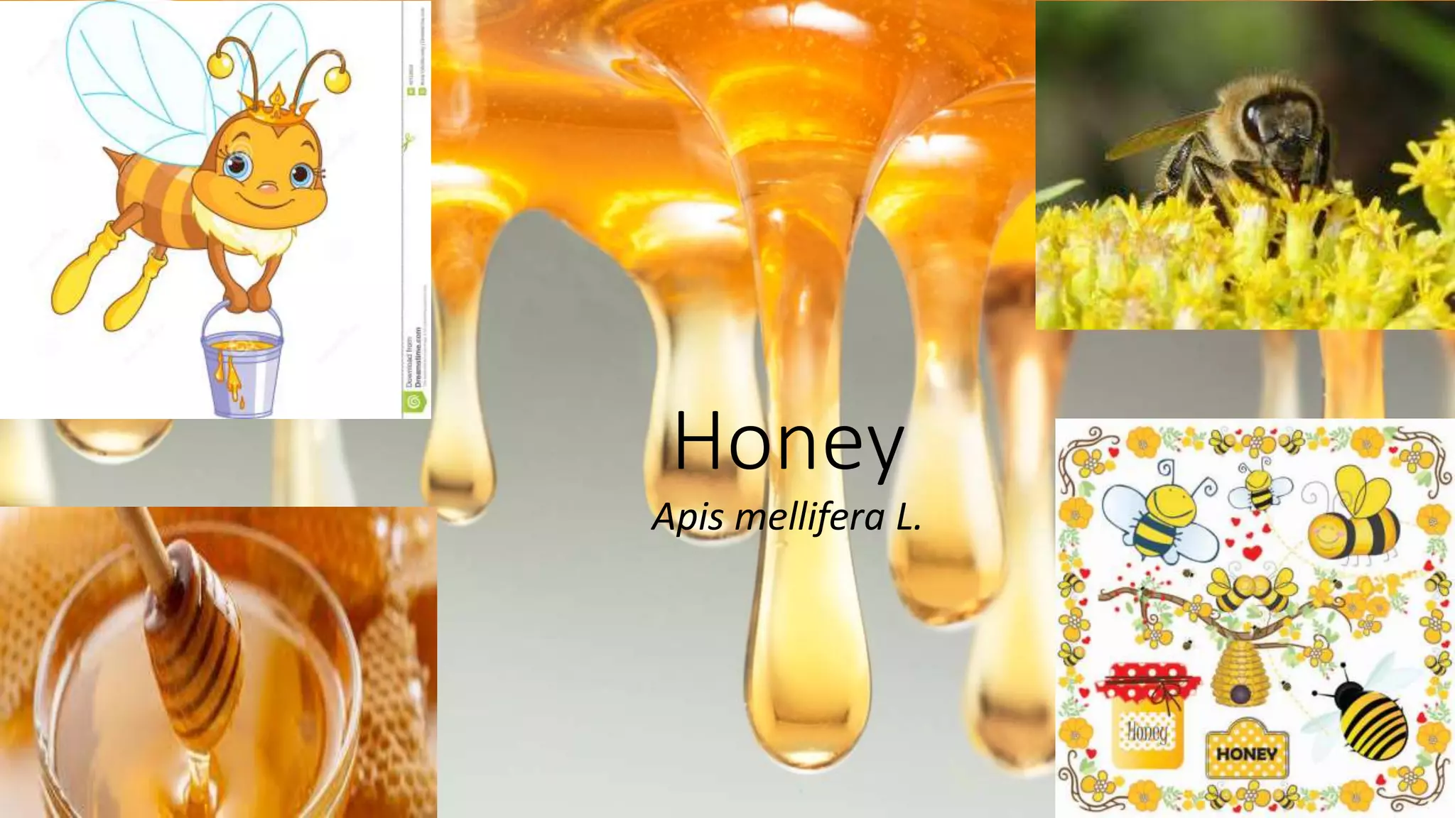 Adulteration Of Honey Ppt