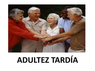 Fotos De La Adultez Tardía