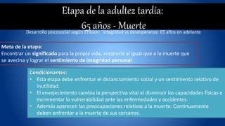 Fotos De La Adultez Tardía