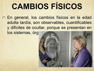 Fotos De La Adultez Tardía