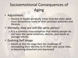 Adulthood Development Stages