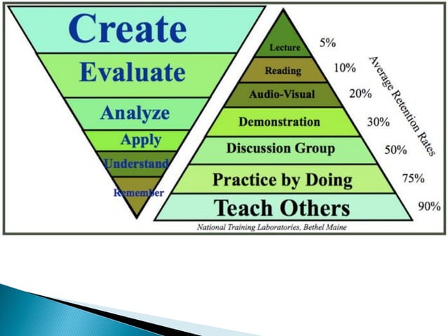 Adult Learning Styles and Training Methods | PDF | Adult Education ...