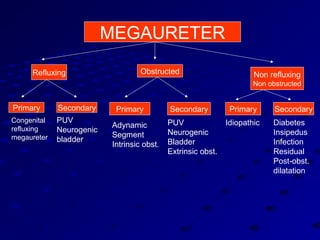 Adult megaureter | PPT