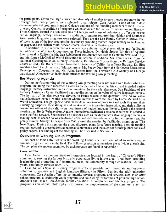 Adult Native Language Literacy A Synthesis and Plan for Research and ...