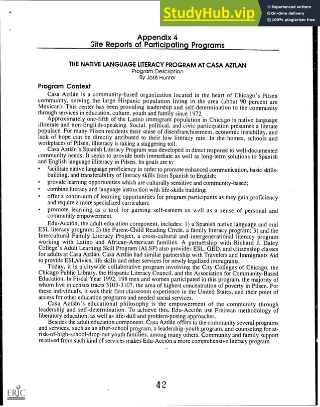 Adult Native Language Literacy A Synthesis and Plan for Research and ...