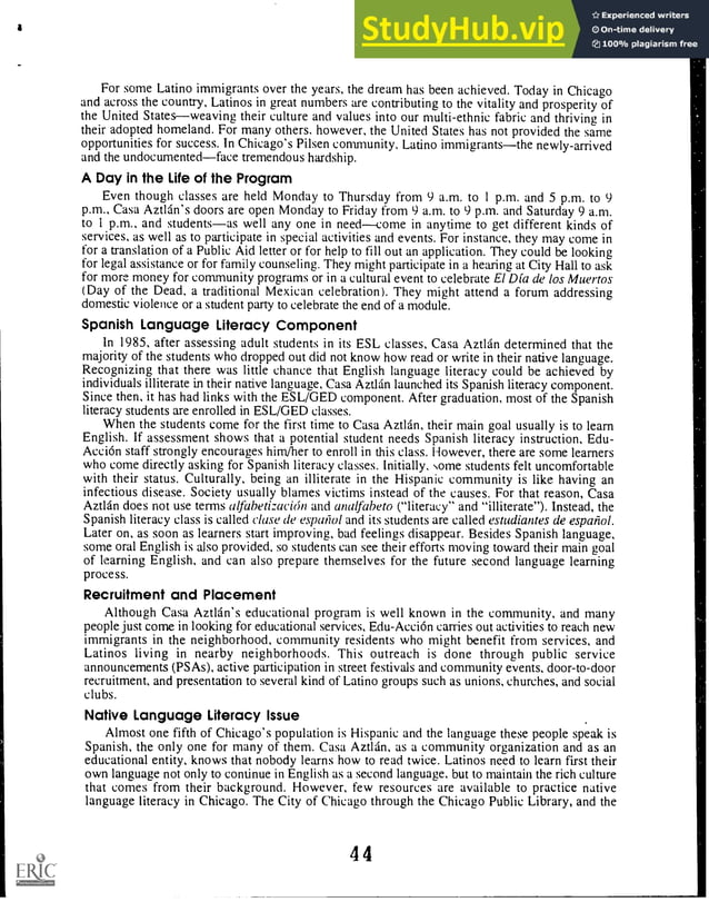 Adult Native Language Literacy A Synthesis and Plan for Research and ...