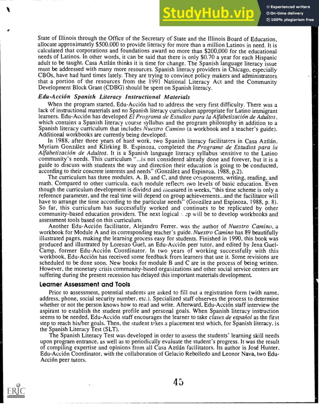 Adult Native Language Literacy A Synthesis and Plan for Research and ...