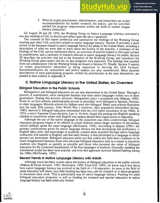 Adult Native Language Literacy A Synthesis and Plan for Research and ...